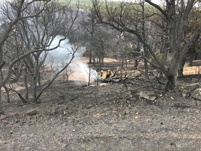 ‘How could this happen?’ USFS releases Simms Fire analyses, finding ...