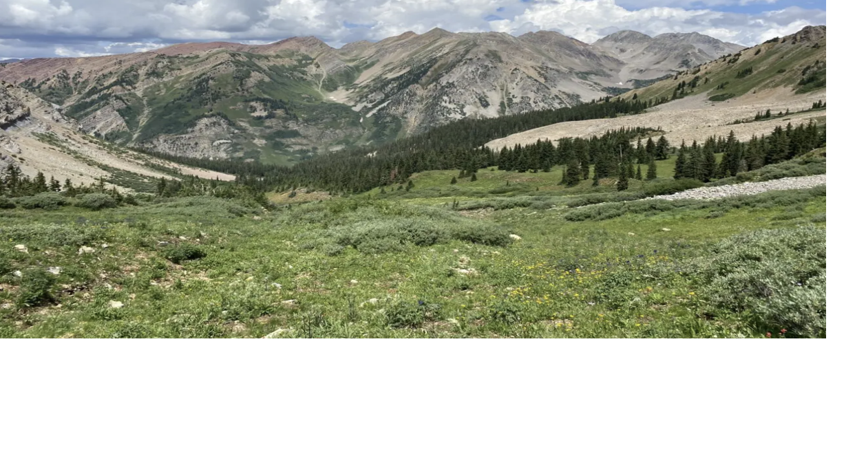 GMUG National Forests obtain 203 acres of wilderness | Outdoors ...