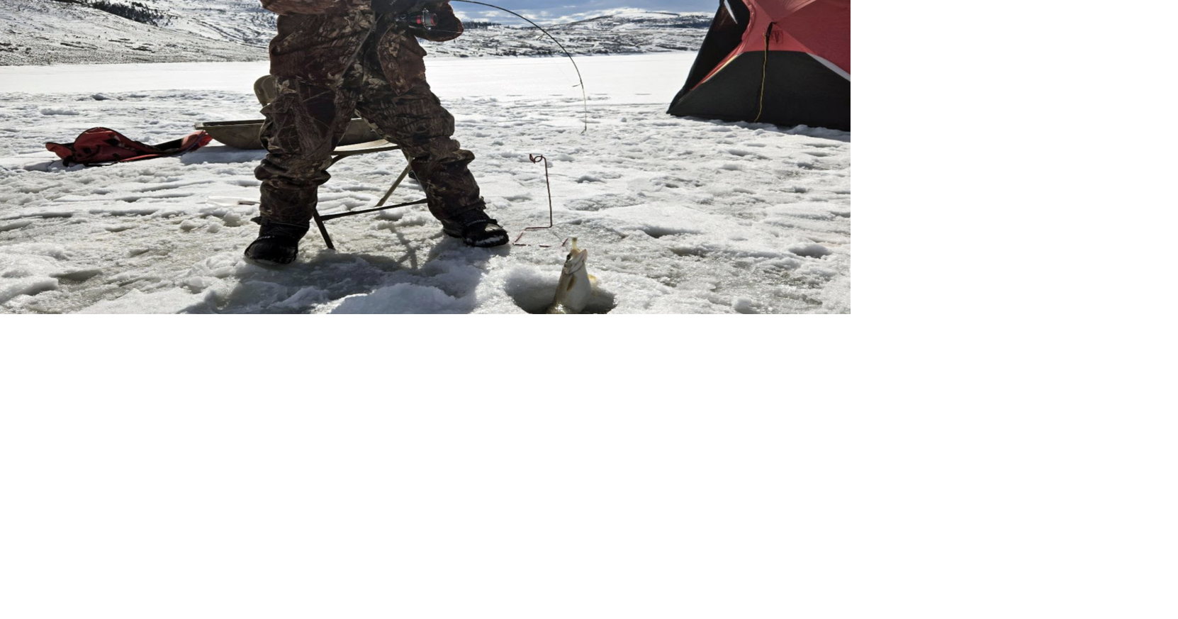 Win big, assist CPW during 2026 Blue Mesa Lake Trout Tournament ...