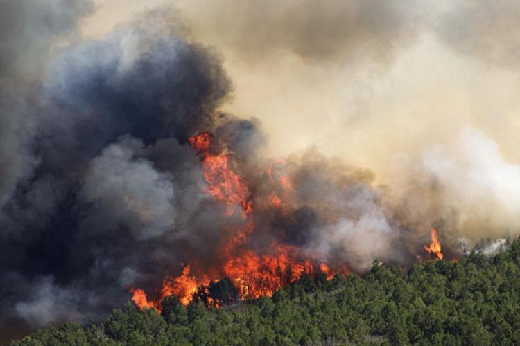 West End wildfire grows — Nucla wildfire burns 2,000 acres in 24 hours ...