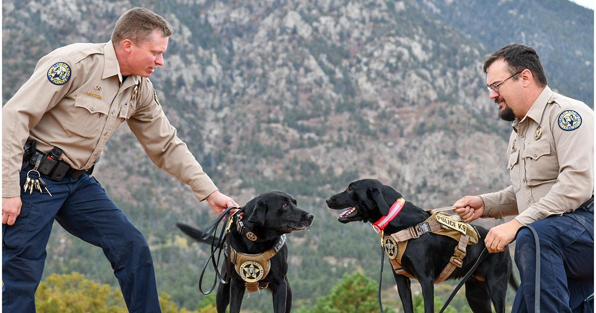 CPW honors retiring K-9s; announces new statewide program | Outdoors ...