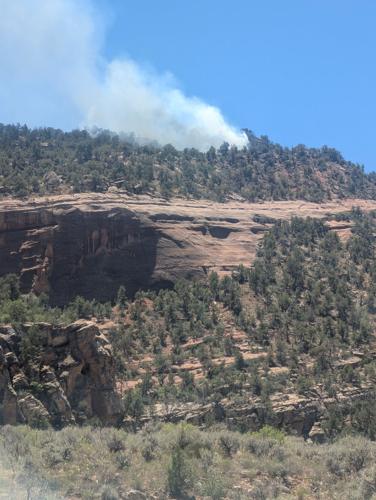 Beehive Fire 88% contained | Local News Stories | montrosepress.com