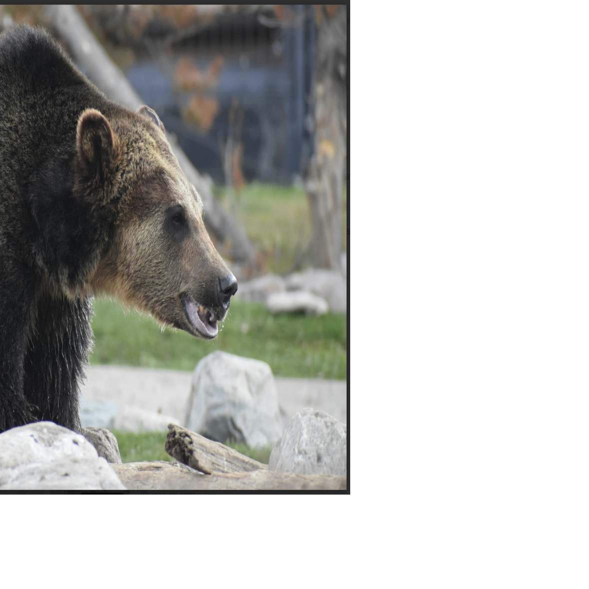 Colorado Parks and Wildlife employees honored with Western Regional ...