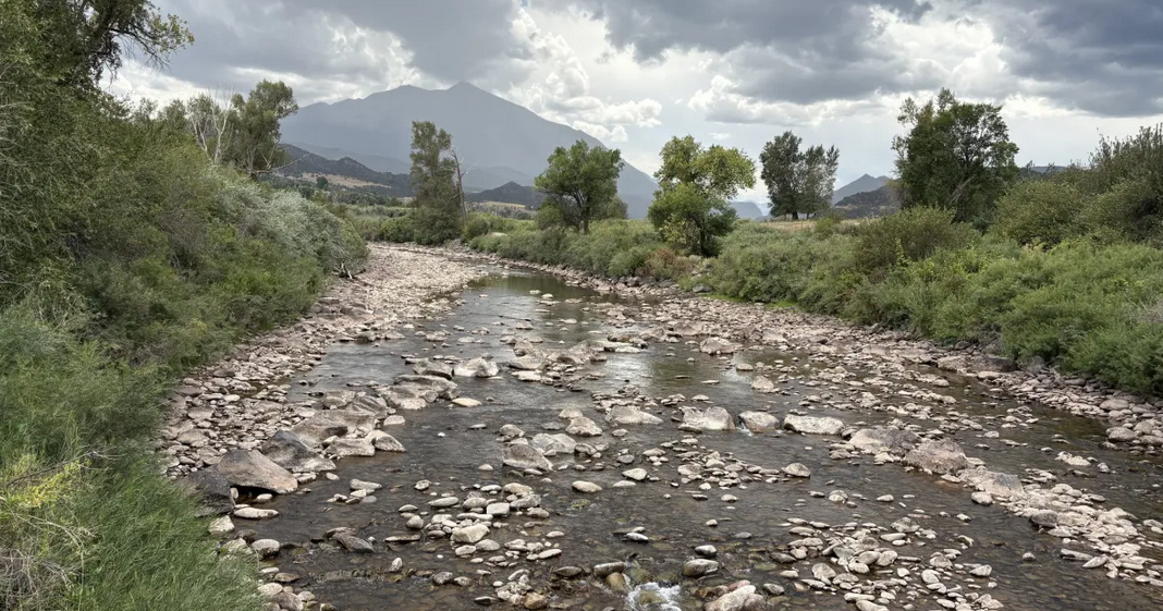 Low river flows trigger calls, closures, stressed fish | Local News ...
