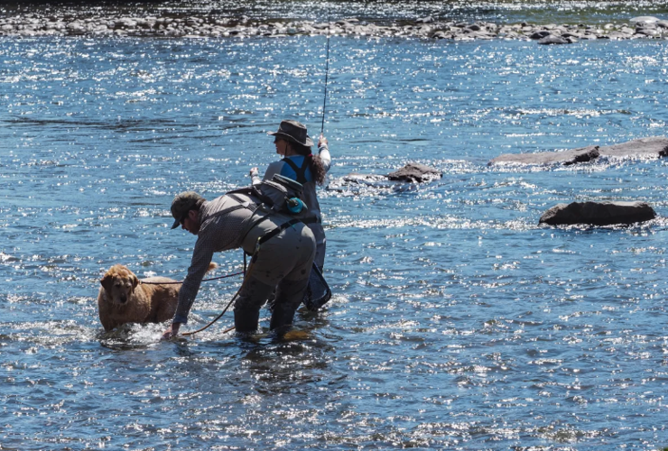 Promises were broken on state-funded Rio Grande dam project, river ...