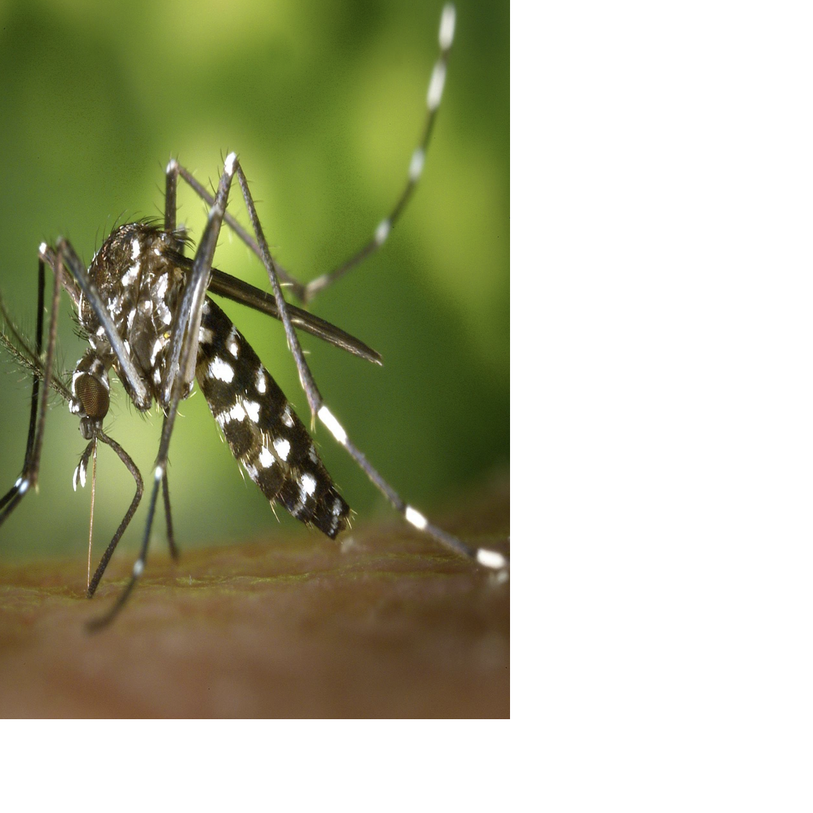 Manhunt for Charlie Kirk shooter: Rifle found, person of interest ...