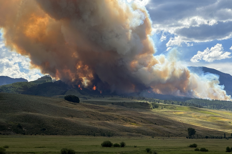 Rain helps moderate Lowline Fire; some fire growth due to 'burnouts ...