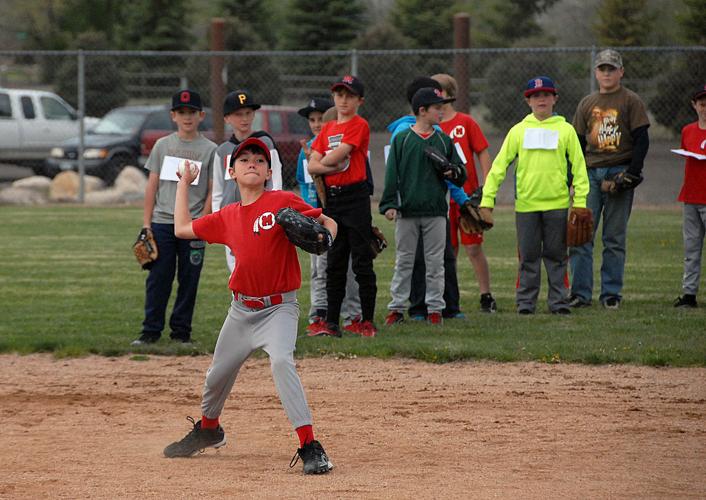 Youth Baseball tryouts | Local Sports News | montrosepress.com
