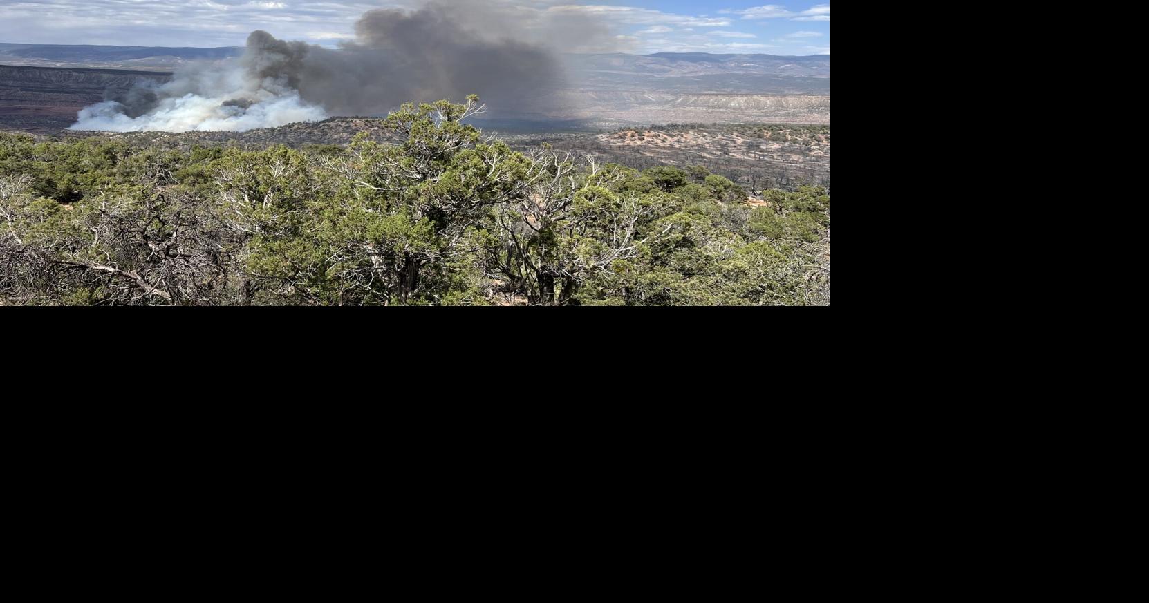 Bee Hive Fire triples, Paradox Trail Fire quadruples in high winds ...