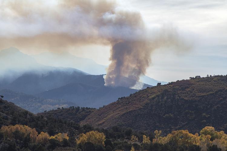 Cow Creek Fire burning in Ouray County | News | montrosepress.com