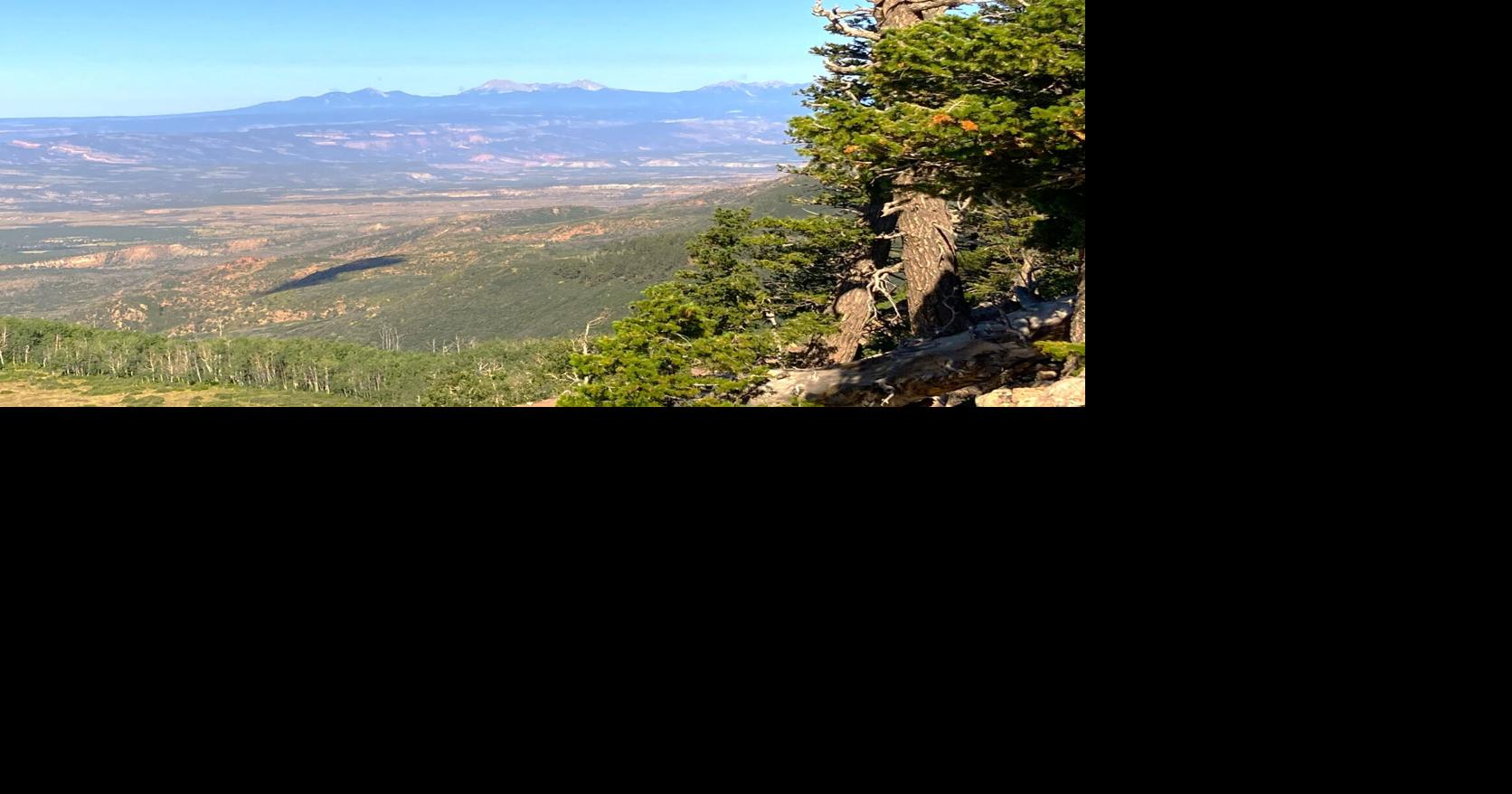 OUTDOORS: Big country of the Uncompahgre Plateau | Outdoors ...