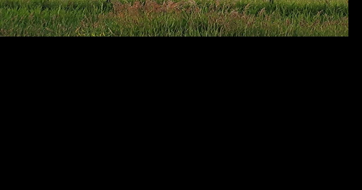 Lowline Fire reported at 54% containment | News | montrosepress.com