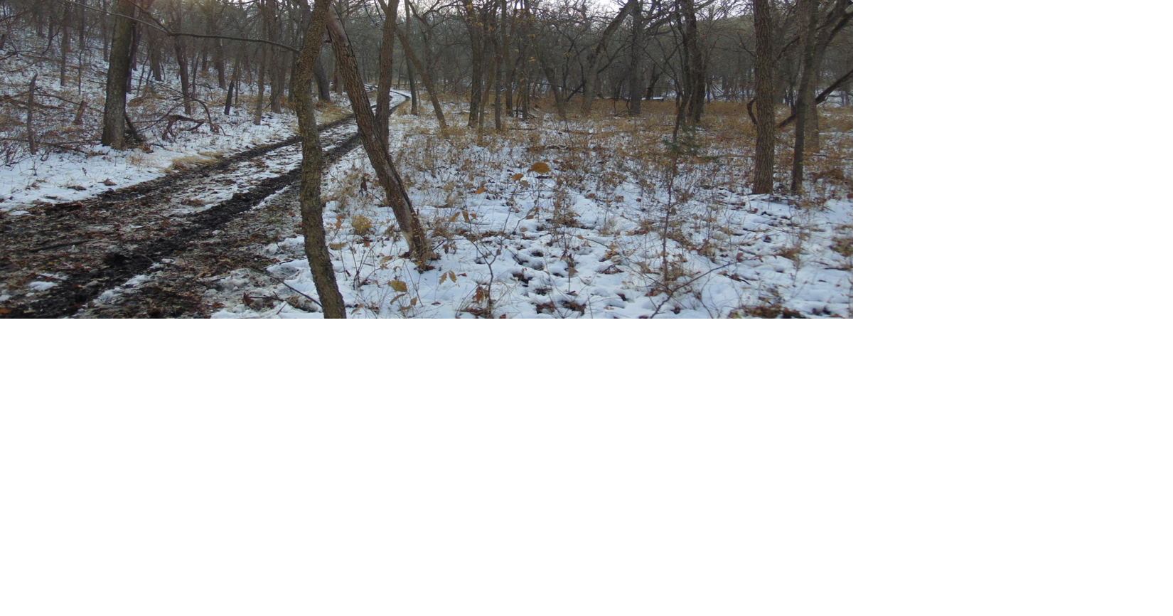 TIPS FROM THE POSSE: Survive Off the Land | Outdoors | montrosepress.com