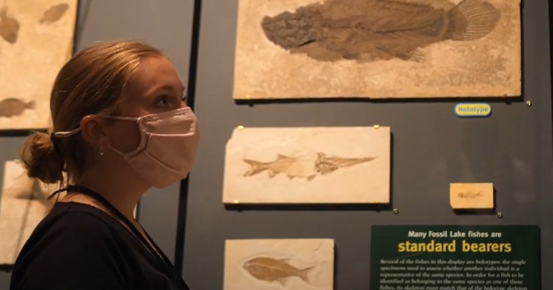 Digital museum offers more access to students and teachers | Arts ...