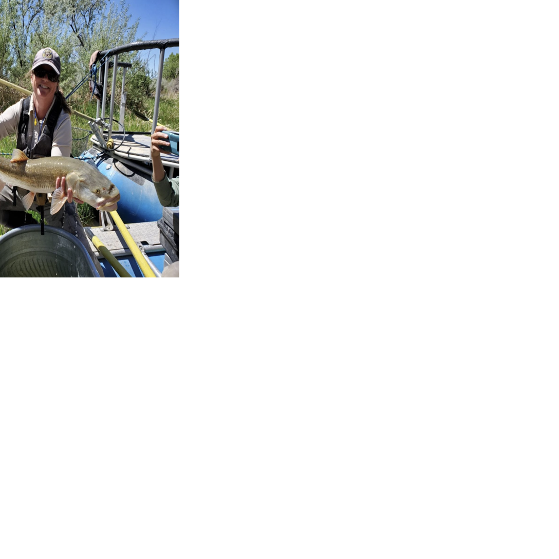 Colorado fishing licenses are now available for the 2025-2026 season ...