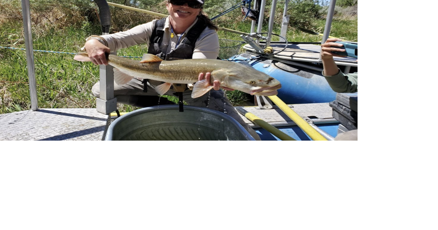 CPW celebrates Jenn Logan as the recipient of the 2025 Upper Colorado ...