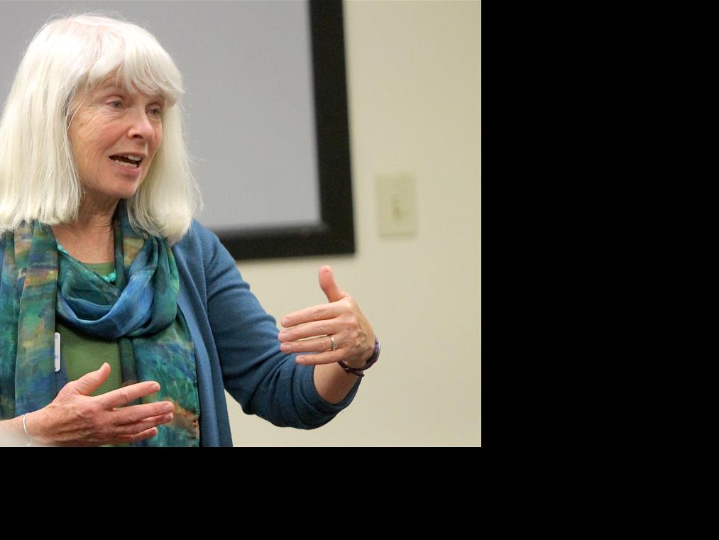 Diane Mitsch Bush touts experience in U.S. House race; says her ...