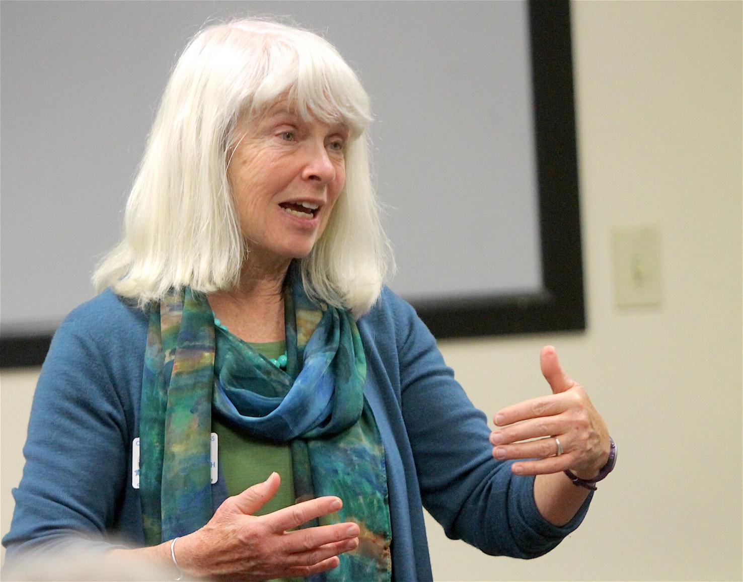 Diane Mitsch Bush touts experience in U.S. House race; says her ...