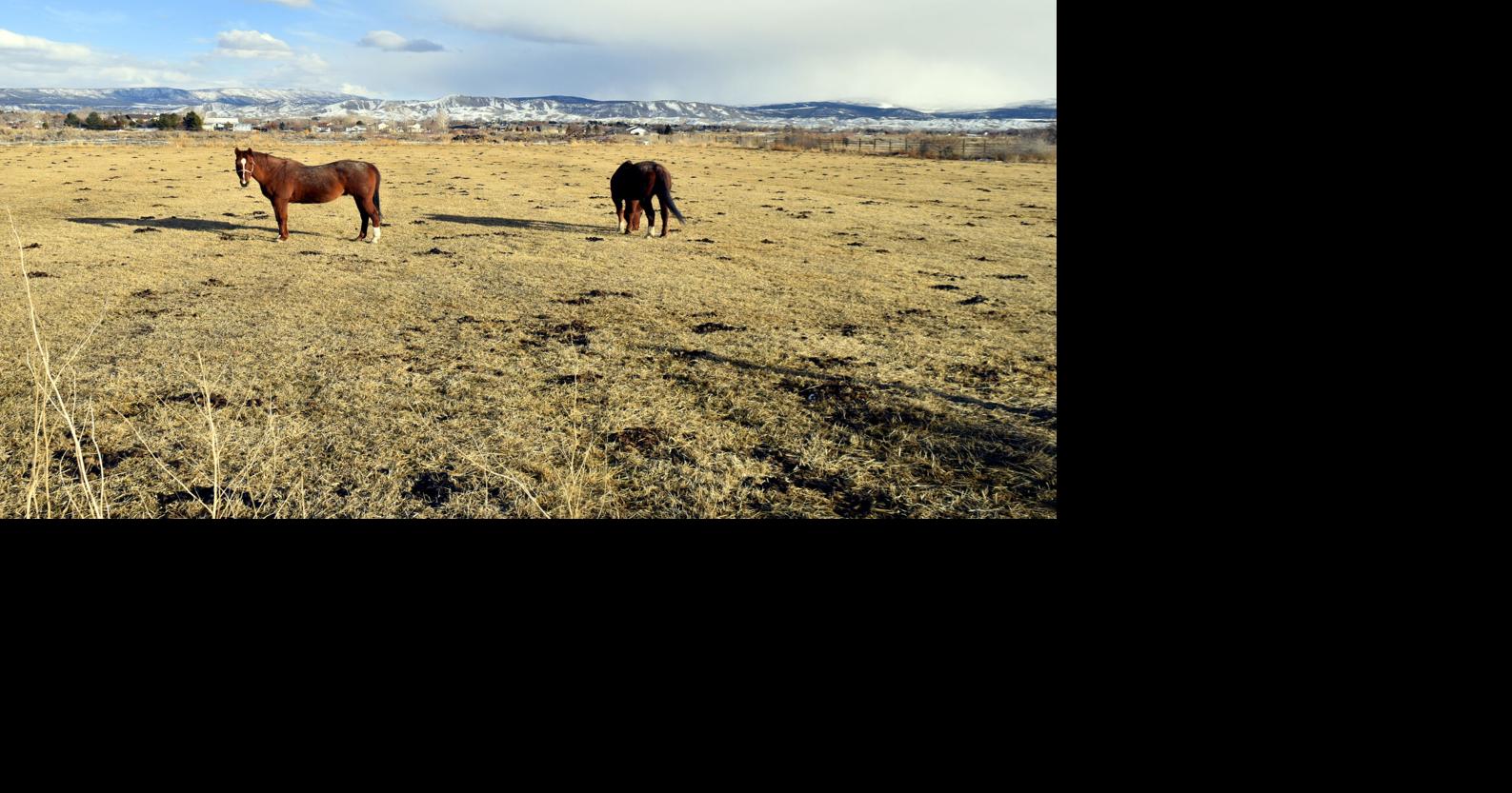 COLUMN: Carbon farming, an old thing with a new twist | Local News ...