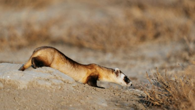 OPINION: Can our evolving political landscape learn a lesson from a ...