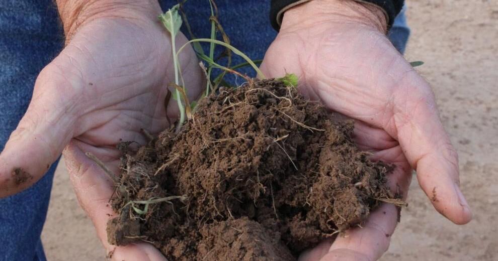 How it grows: Western Colorado Soil Health, Food & Farm Forum drives ...