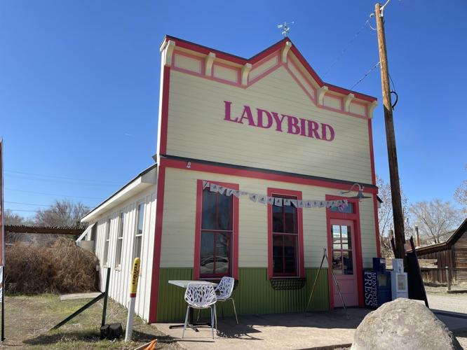 Ladybird brings coffee and more back to Colona — 'It’s going to be pretty crazy' | Local News ...