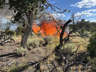 Little Mesa Fire prompts road closures | News | montrosepress.com