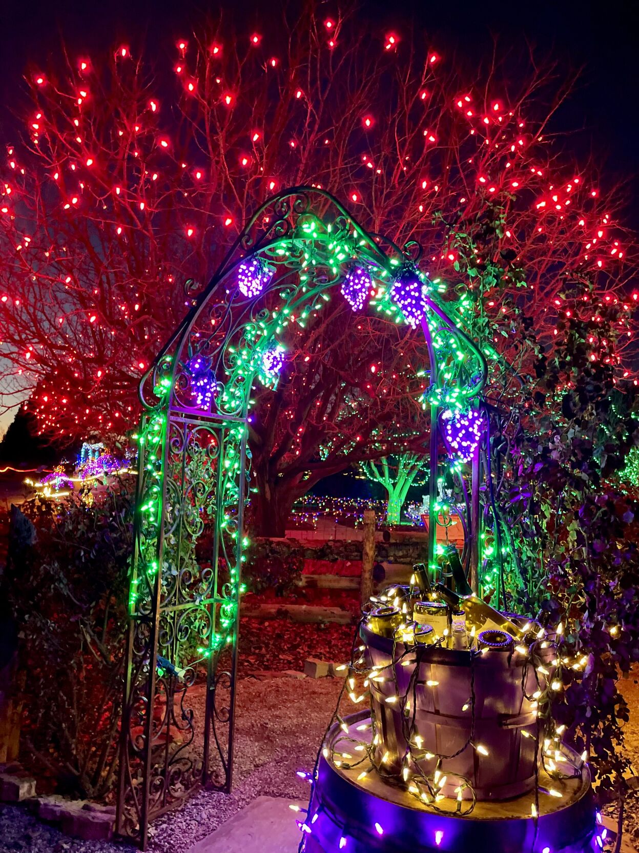 This way to the North Pole: Garden of Lights returns this weekend at ...
