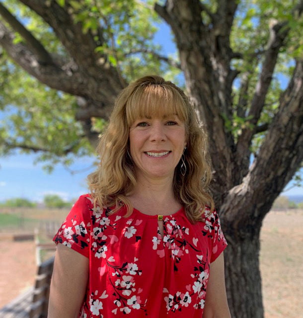 MEF announces MCSD 2020 Teachers of the Year | Local News Stories ...