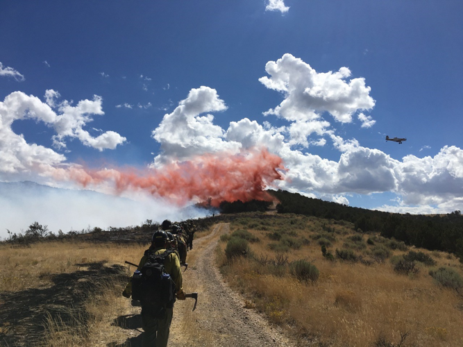 OPINION: What do we owe wildland firefighters? | Opinion ...