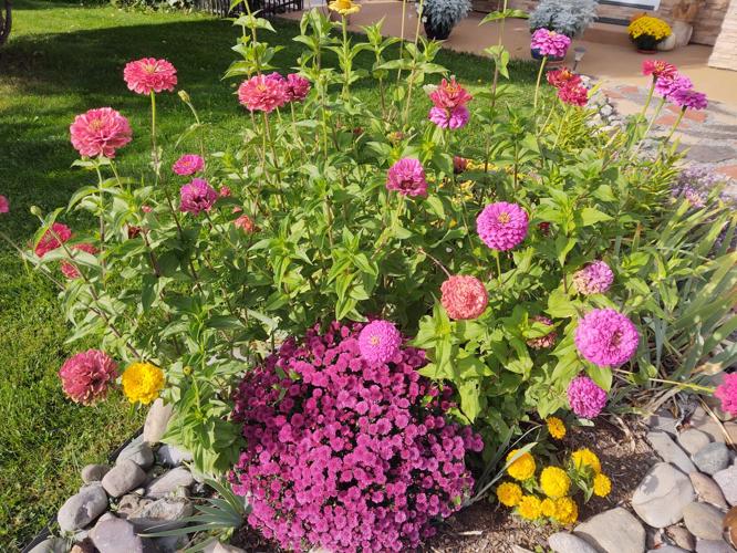 Community photos: Oct. 8, 2022 | | montrosepress.com