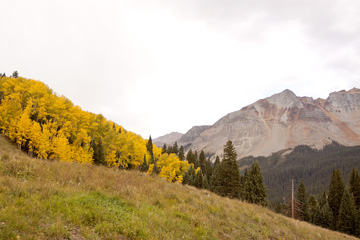 Revamped forest health bill breezes through House | Local News Stories ...