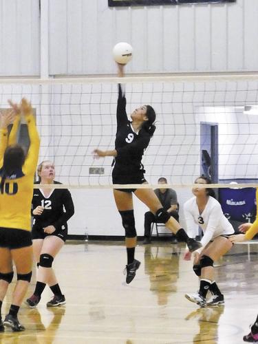 OHS volleyball brings it home for homecoming | Local Sports News ...