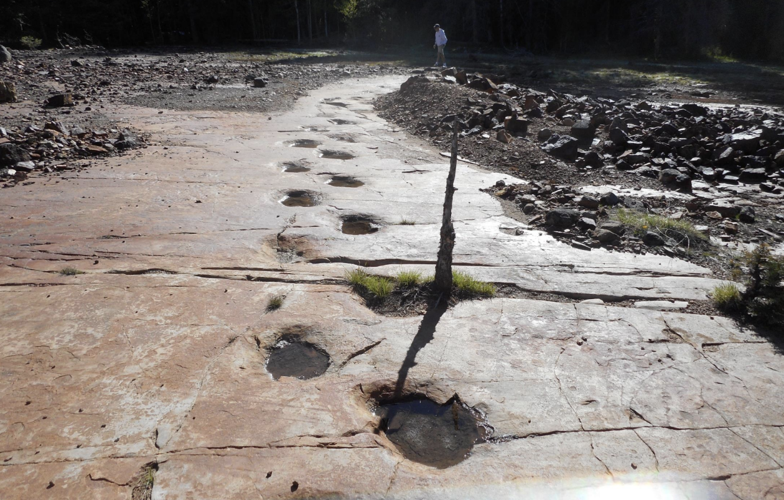 Stepping back in time — Ouray trackway represents rare Jurassic find ...