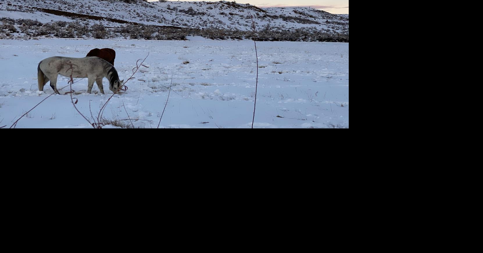 A show of snow in Montrose | Local News Stories | montrosepress.com