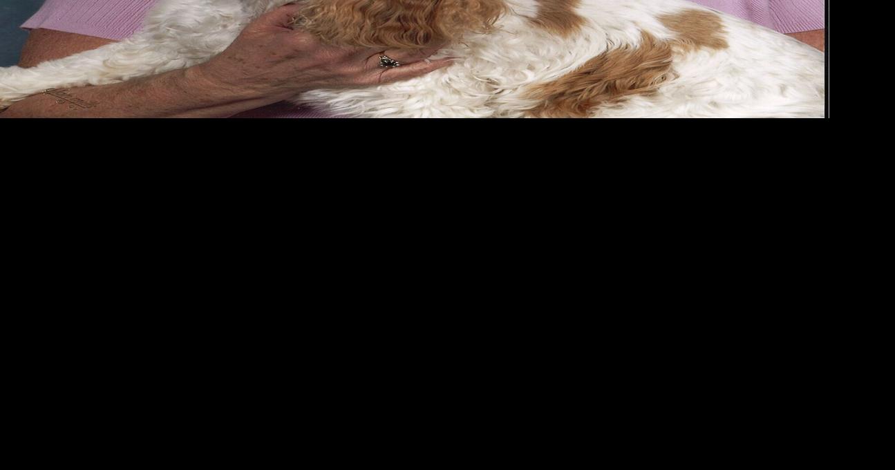 OBITUARY: Suzanne Shelley | Archives | montrosepress.com