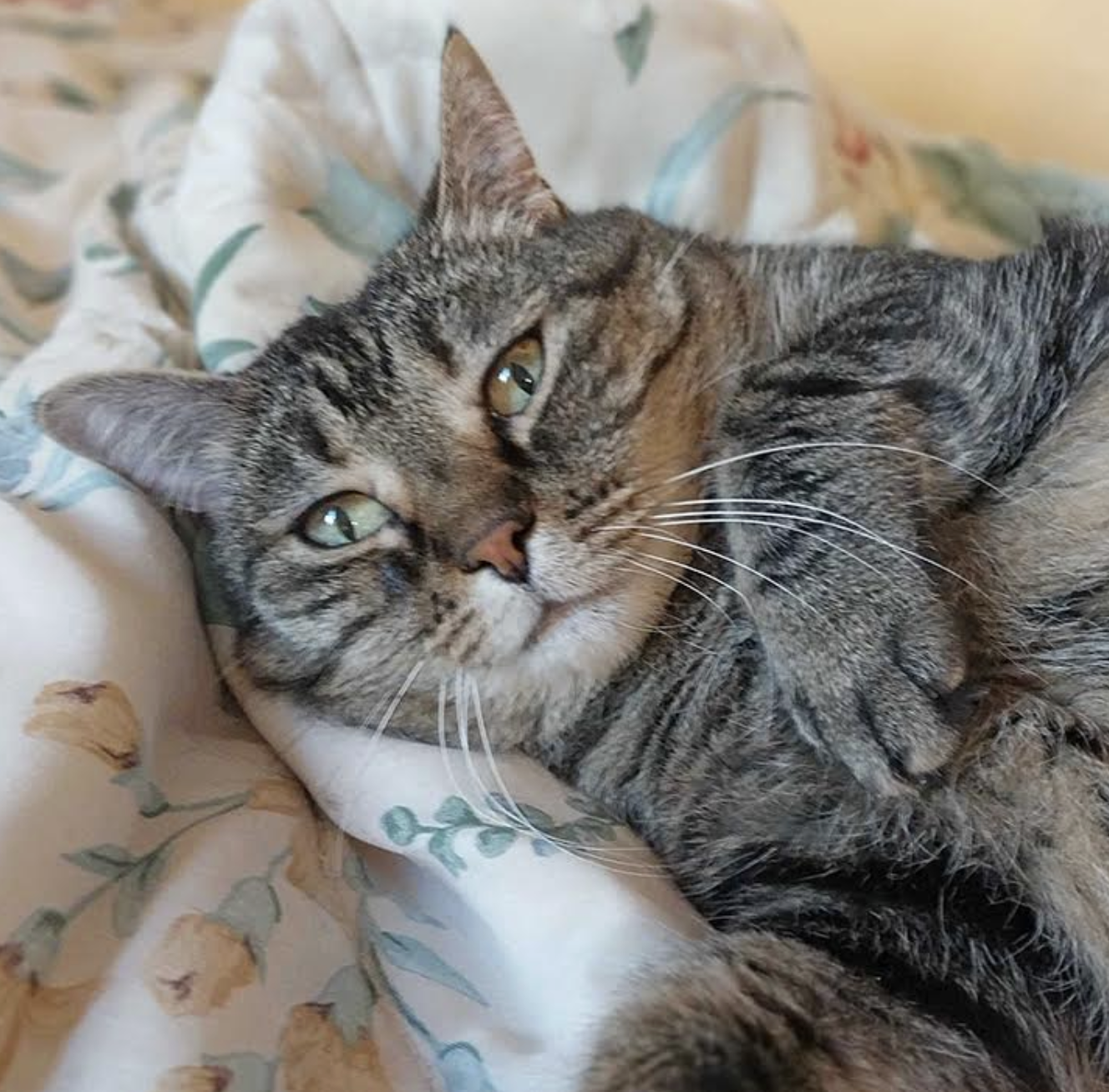 Page B6 | E-Edition | montrosepress.com