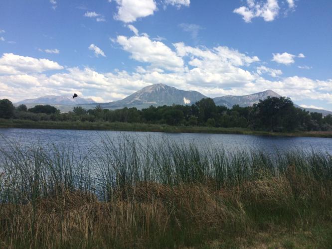 Conservation easement will preserve Campbell Ranch in face of growing ...