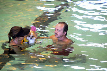 Montrose Aquatic Center goes to the dogs | Local News Stories ...