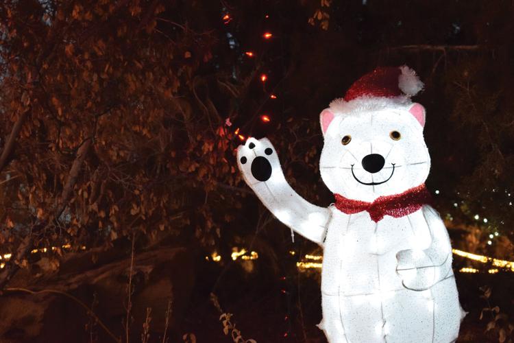PHOTOS: Garden of Lights at Montrose Botanic Gardens returns in full ...