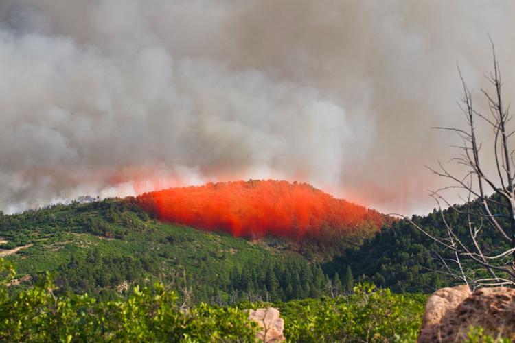 Community meeting slated as Bucktail Fire grows to 3,700 acres | Local ...