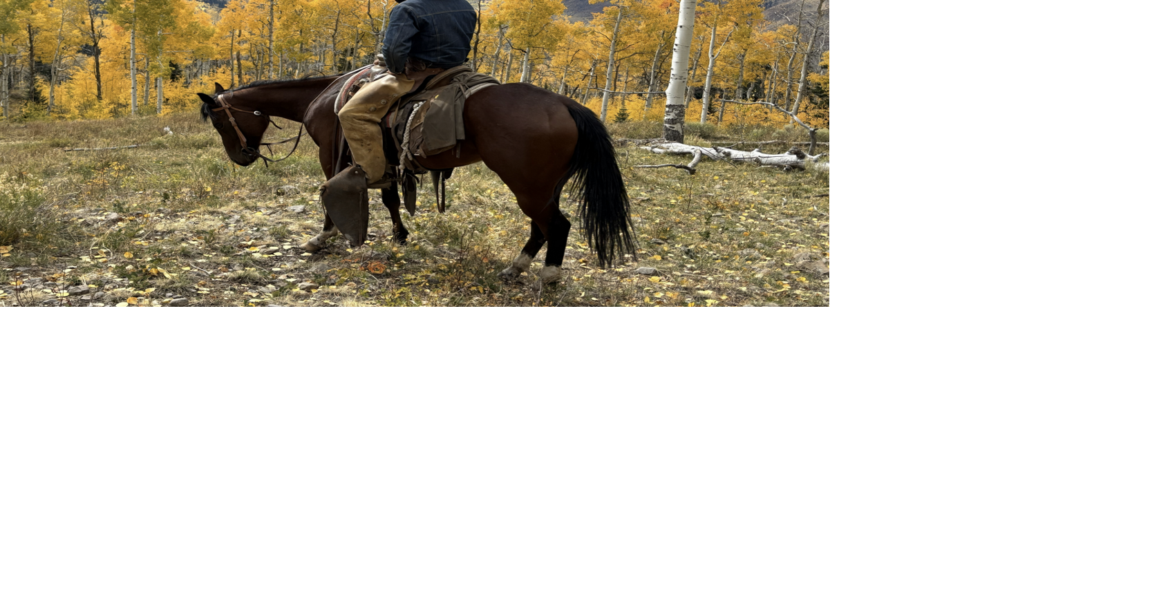 Colorado Parks and Wildlife opens applications for 2026 range riding ...