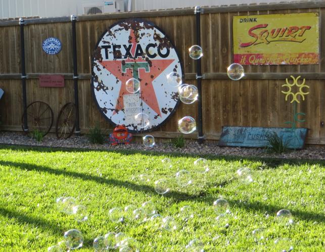 Backyards in Bloom draws record crowd Friday | News | moorenews.com