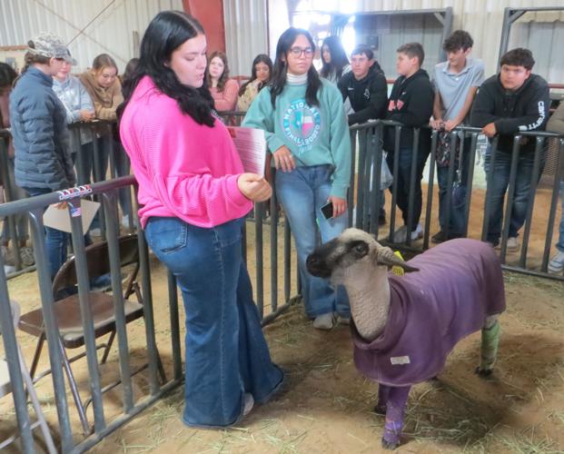 Students discover world of agriculture at Ag Day 2023 | News ...