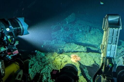 OceanXplorer: a 'one-stop shop' for marine research | National ...