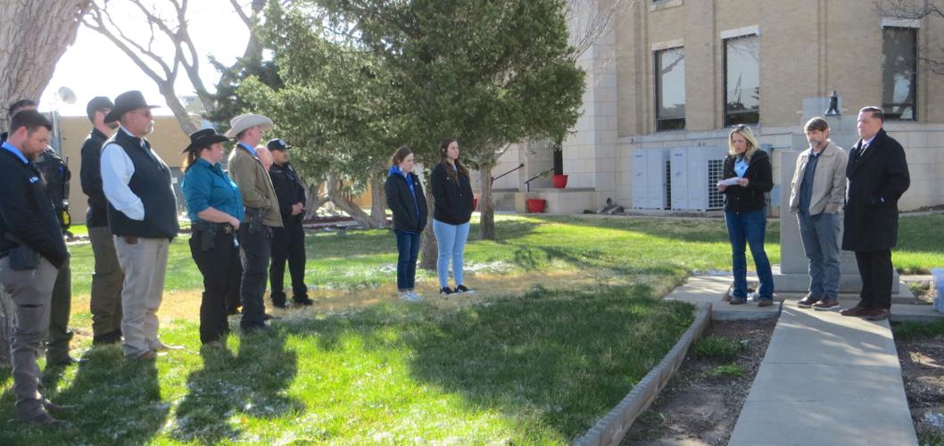 Pinwheels commemorate child abuse victims in Moore County | News ...