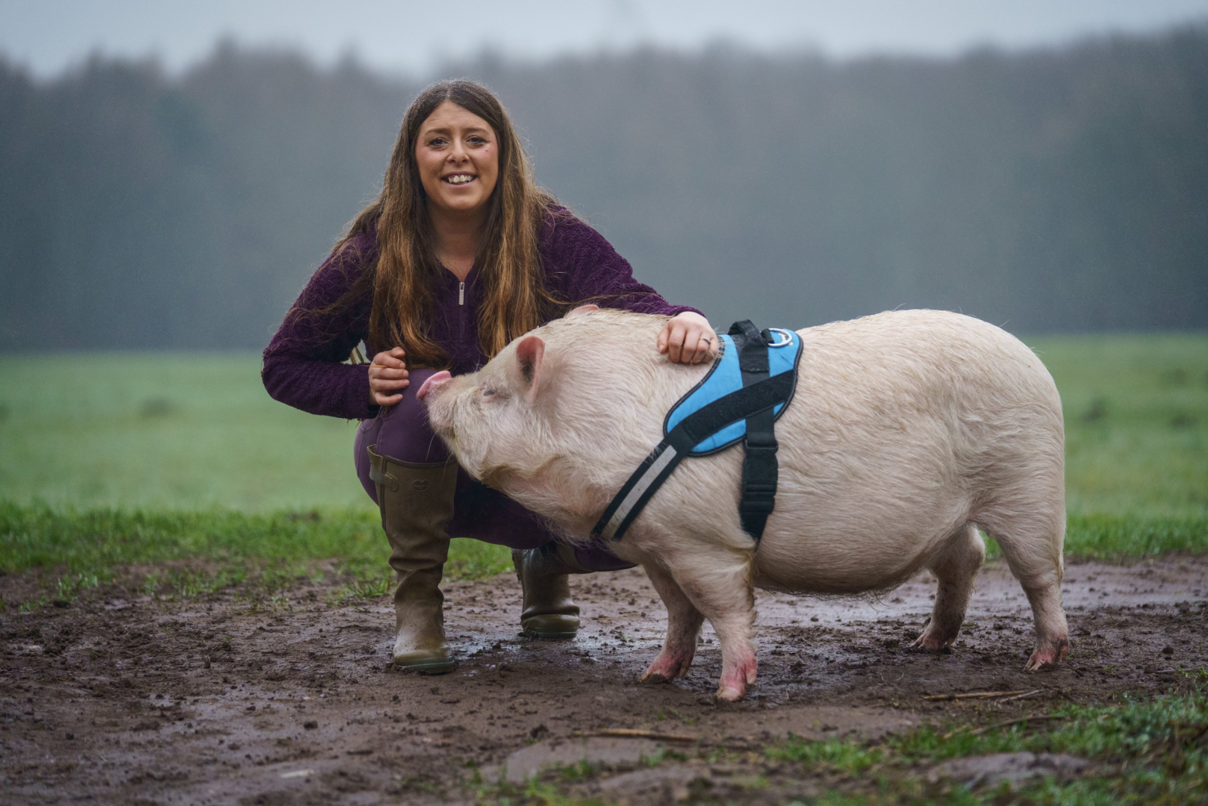 Woman creates unique therapy with pigs | Health | moorenews.com