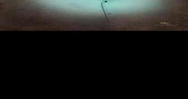 DON MCDANIEL | Obituaries | moorenews.com