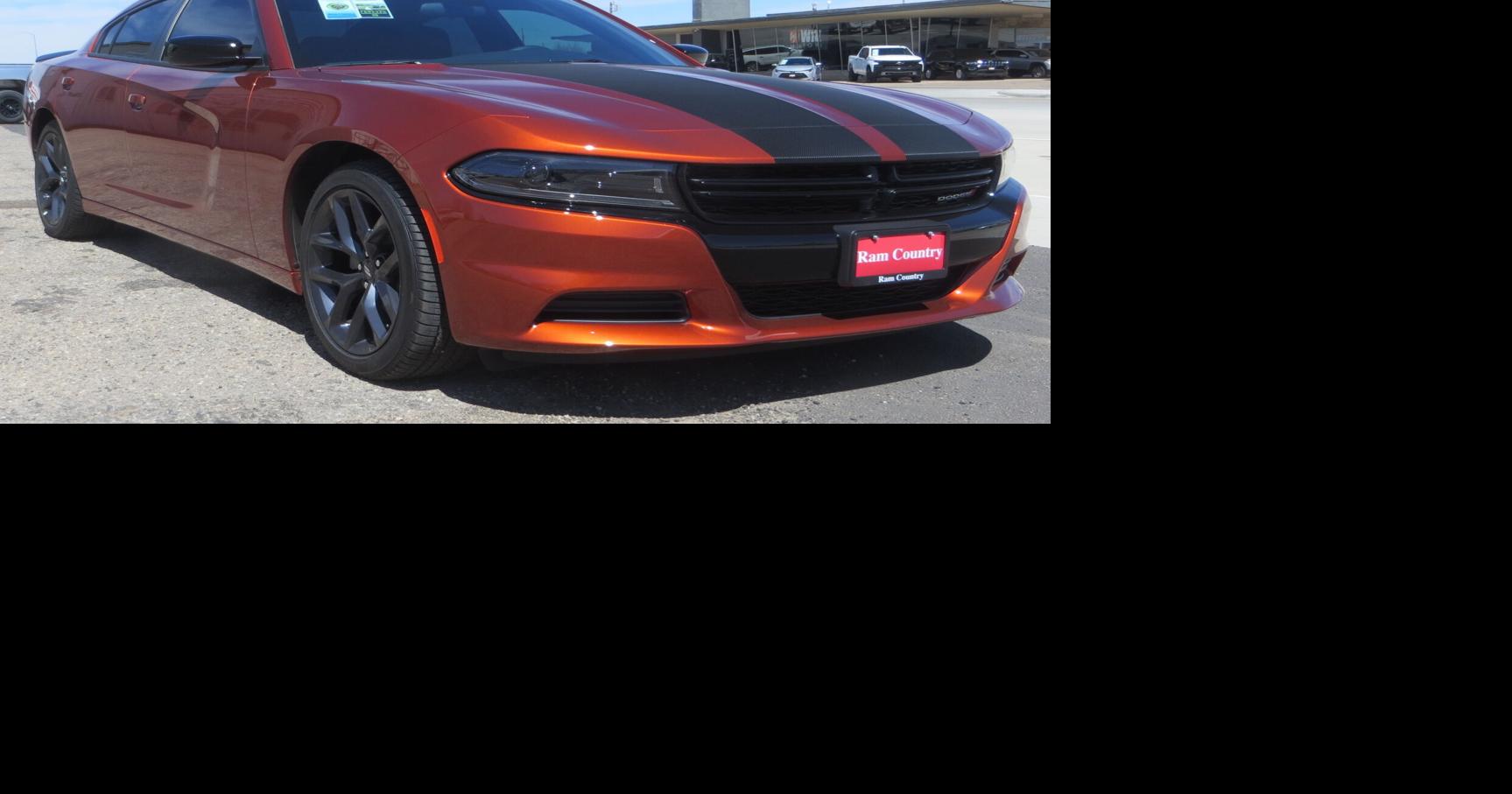 Lions to begin selling Dogie Days raffle tickets for new Dodge Charger ...