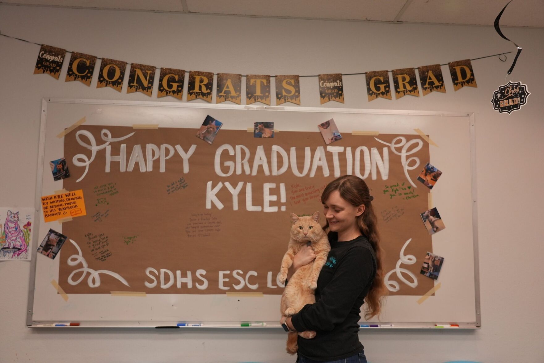 Cat attacked by coyote celebrates surviving with a party | National ...